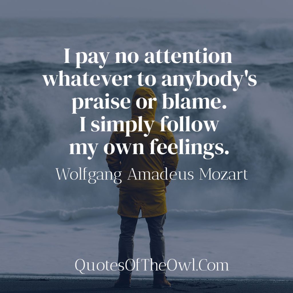 I pay no attention whatever to anybody's praise or blame. I simply ...