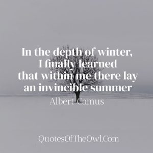 In the depth of winter, I finally learned that within me there lay an ...
