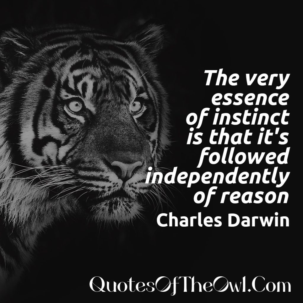 Charles Darwin Quotes with Images - Quotes Of The Owl