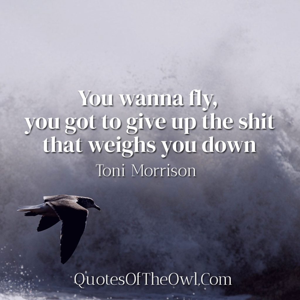 You wanna fly, you got to give up the shit that weighs you down - Toni ...