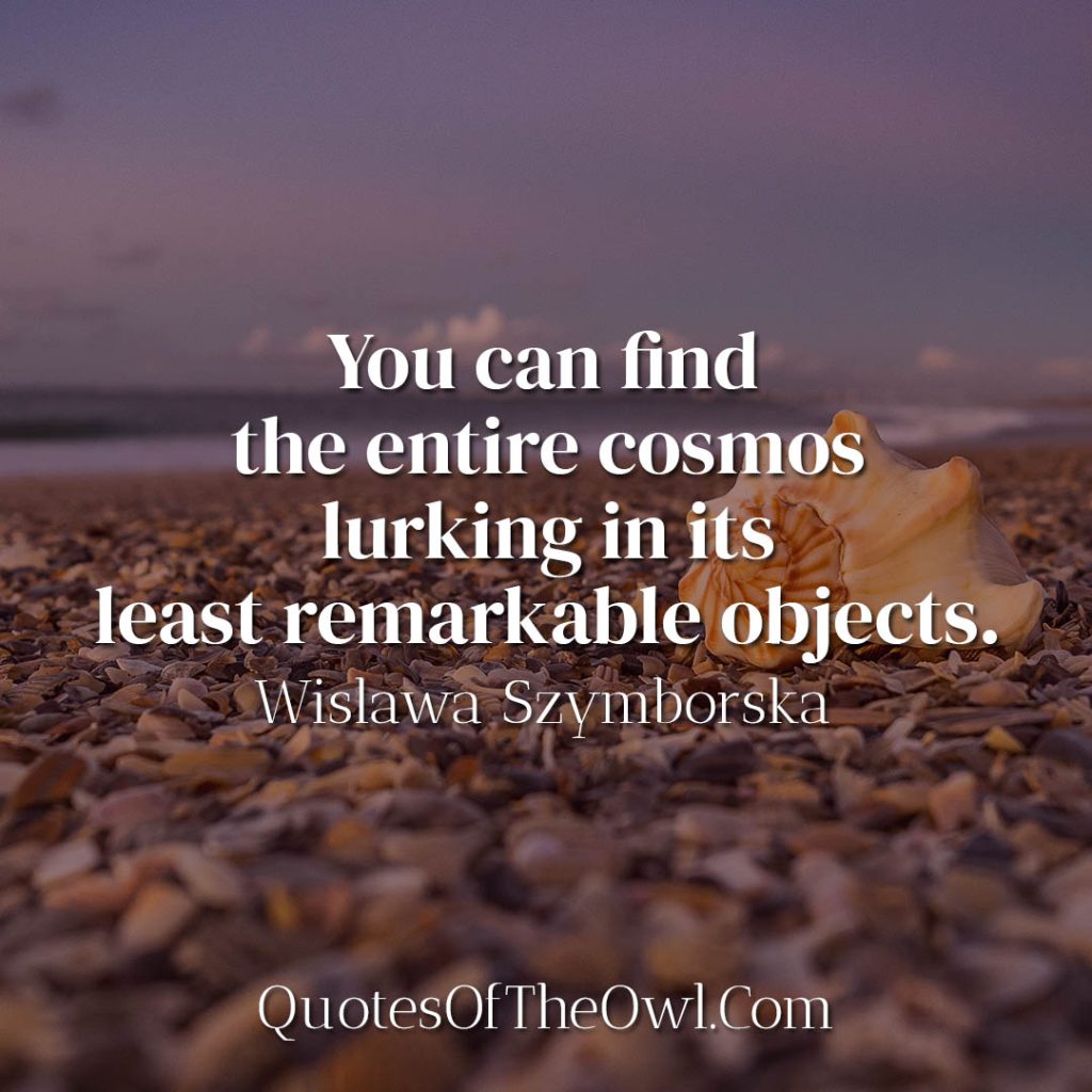 You can find the entire cosmos lurking in its least remarkable objects ...