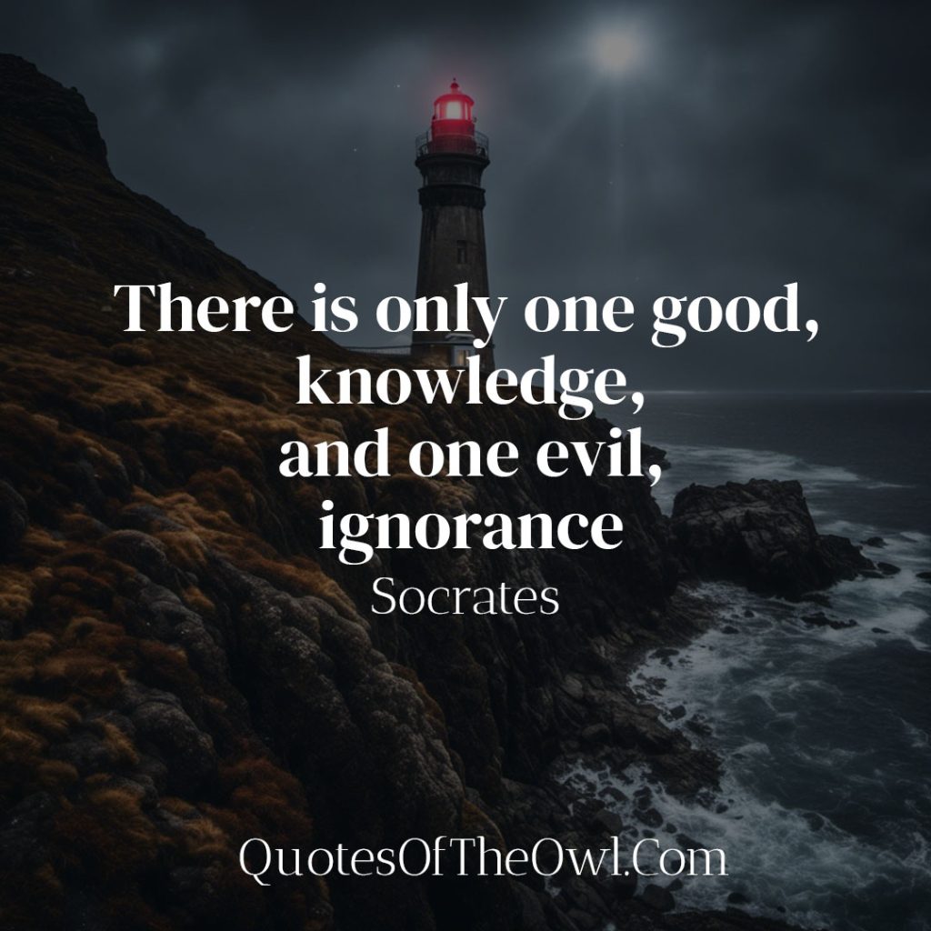 There is only one good, knowledge, and one evil, ignorance - Socrates ...
