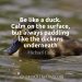 Be like a duck. Calm on the surface, but always paddling like the ...