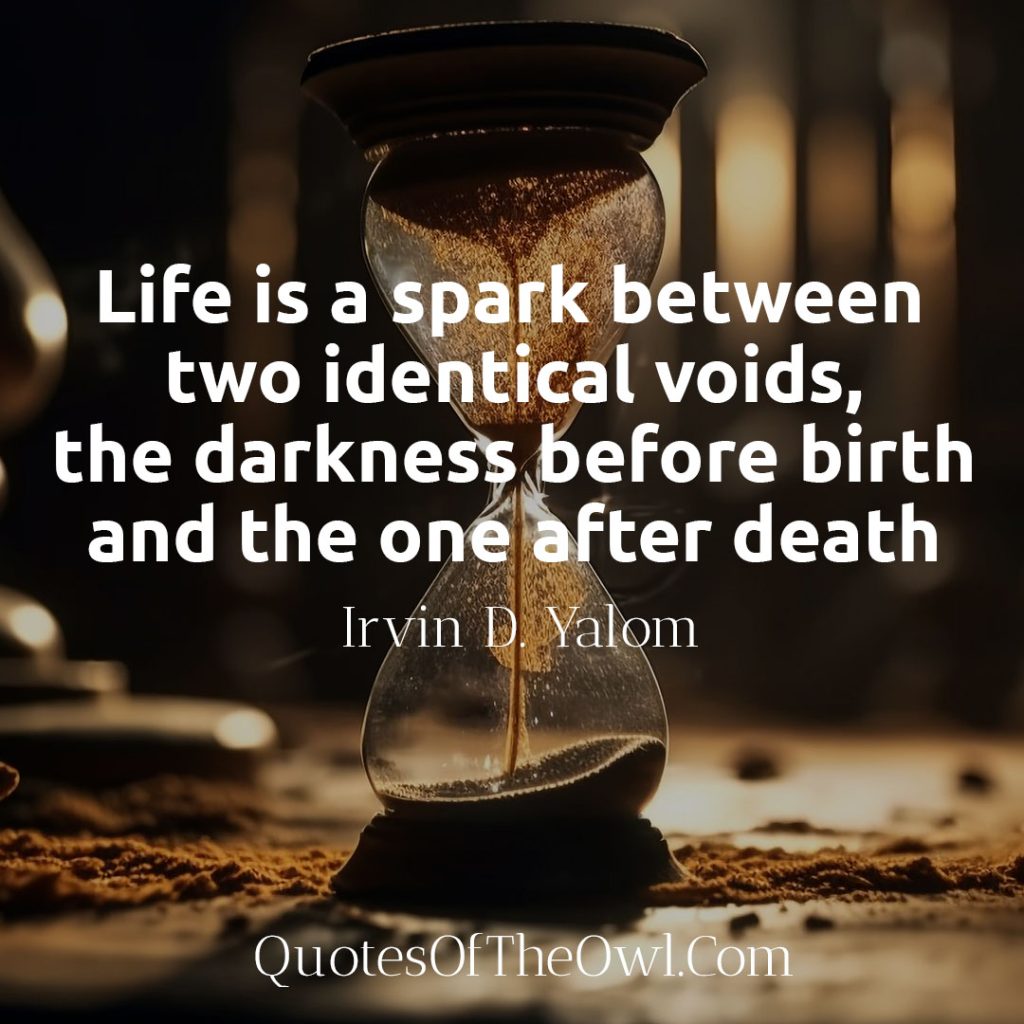 Life is a spark between two identical voids, the darkness before birth ...