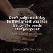 Don't Judge each Day by the harvest you Reap but by the Seeds that you ...