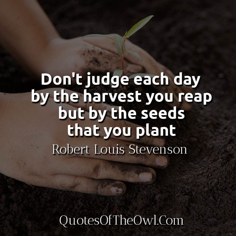 Don't Judge each Day by the harvest you Reap but by the Seeds that you ...